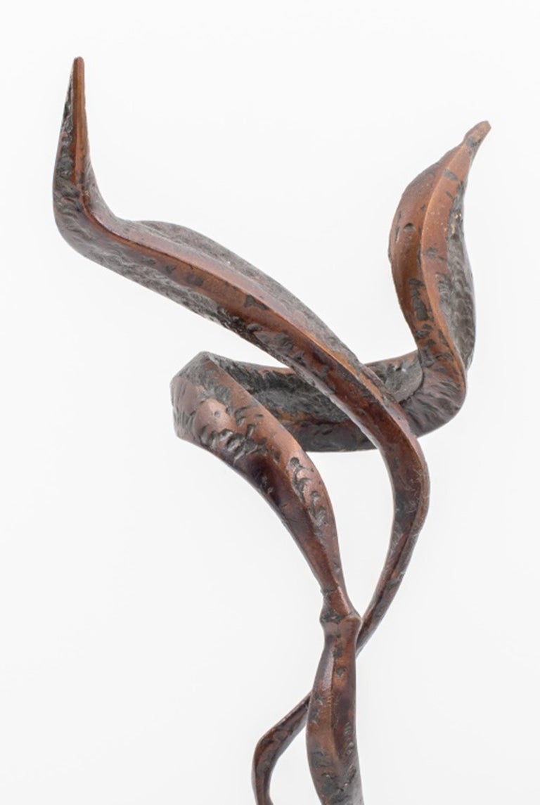 Surrealist Abstract Bronze Plant Sculpture For Sale at 1stDibs