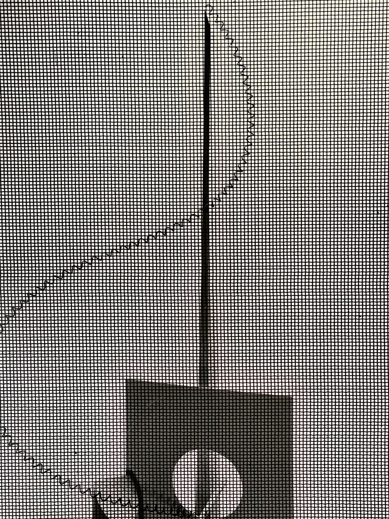 Surrealist Paul Heismann Experimental Still Life Photograph, C 1930s ...