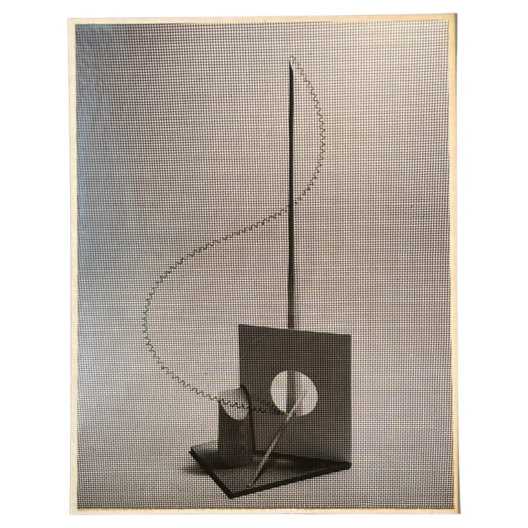 Surrealist Paul Heismann Experimental Still Life Photograph, C 1930s ...