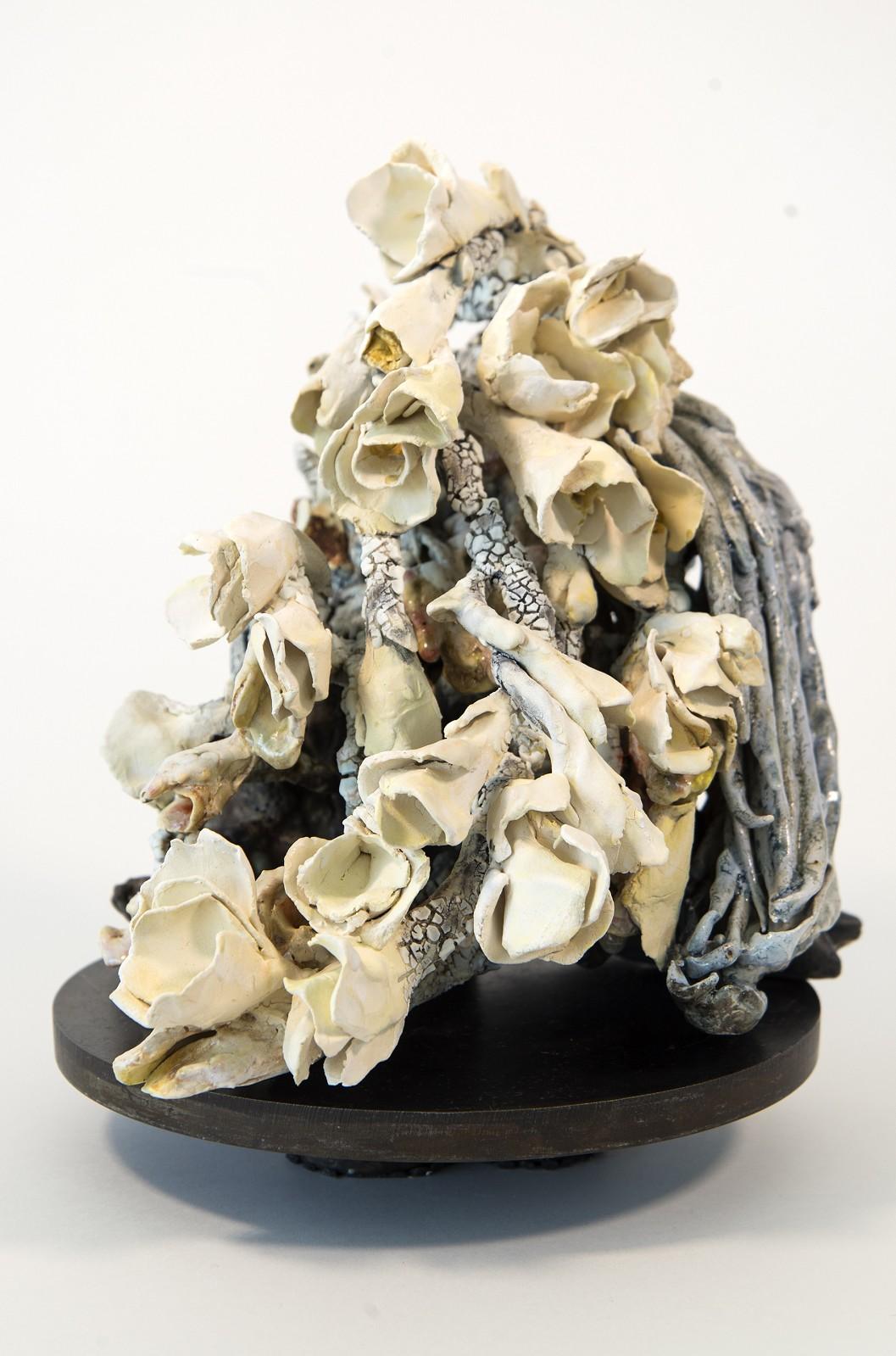 Susan Collett - Furl at 1stDibs