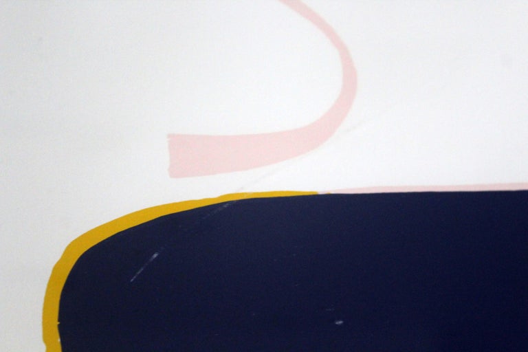 Susan Crile Mostly Mozart Lincoln Center Serigraph Poster 1985 Framed ...