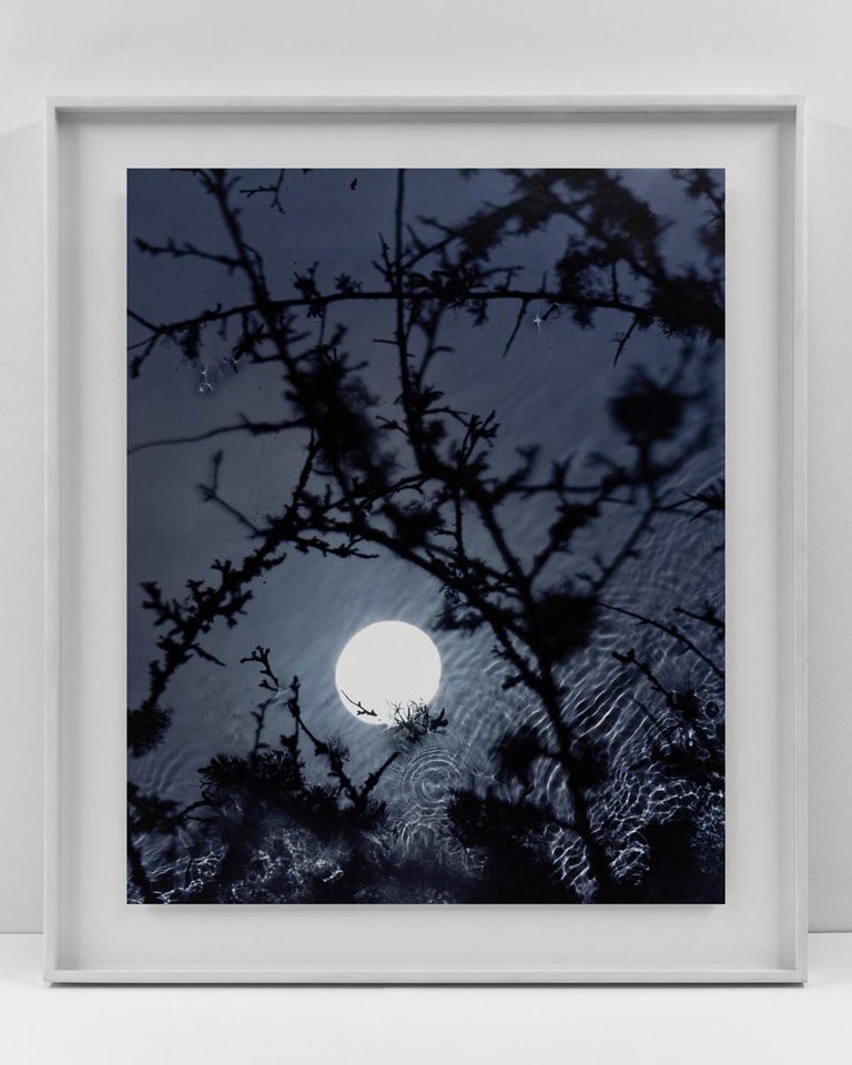 Susan Derges - Full Moon – Black Thorn For Sale at 1stDibs