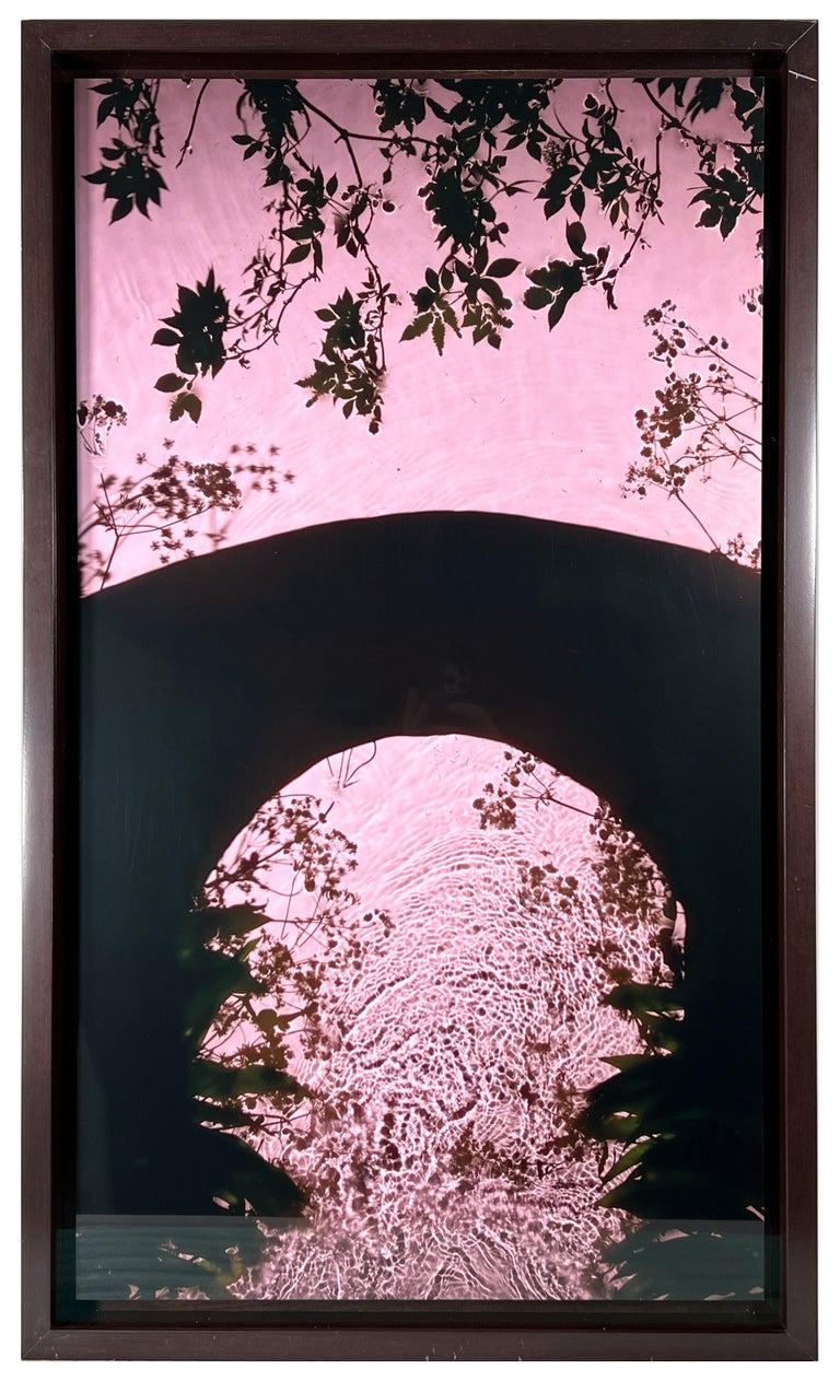 Susan Derges - Wild Garlic Bridge For Sale at 1stDibs