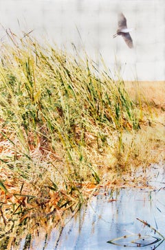 Susan Goldsmith - Rubidoux (Triptych) at 1stDibs