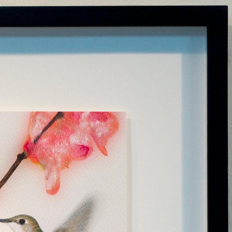 Susan Goldsmith - NECTAR HUMMING V.3, red flowers, portrait of bird ...