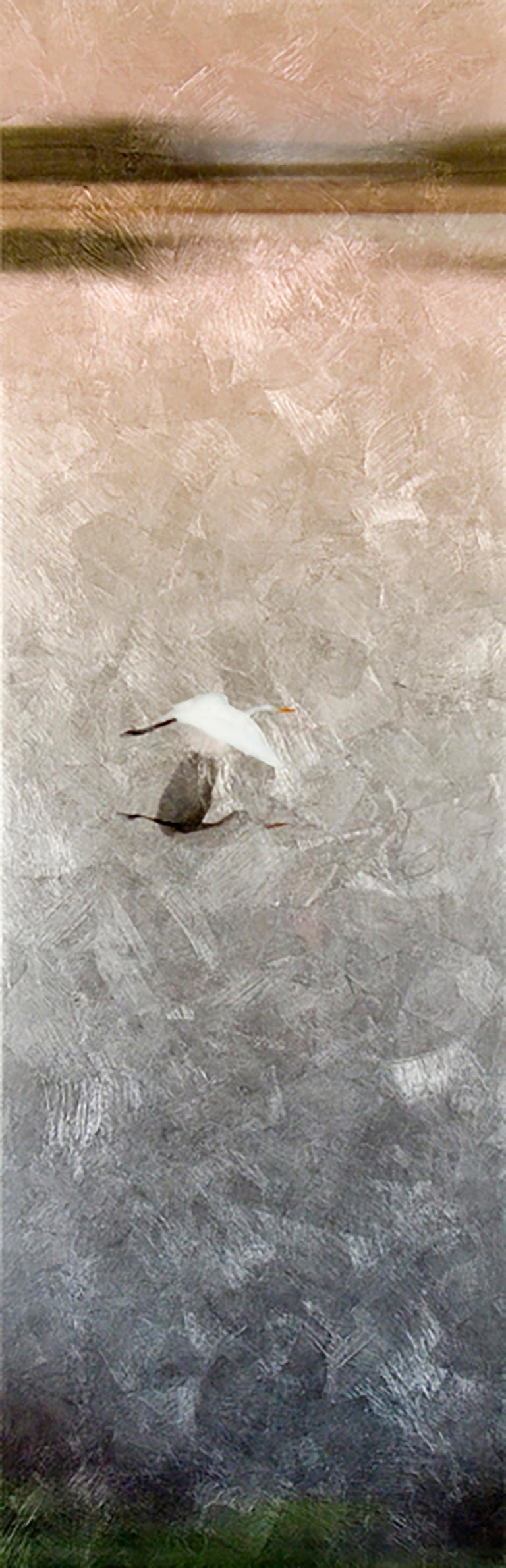 Susan Goldsmith - SOLO, landscape, bird, marshland, coastal, nature ...