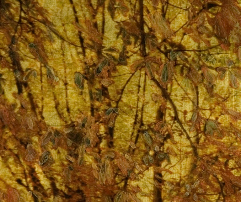 Susan Goldsmith - NO. 165, depiction of trees, nature, gold, brown ...