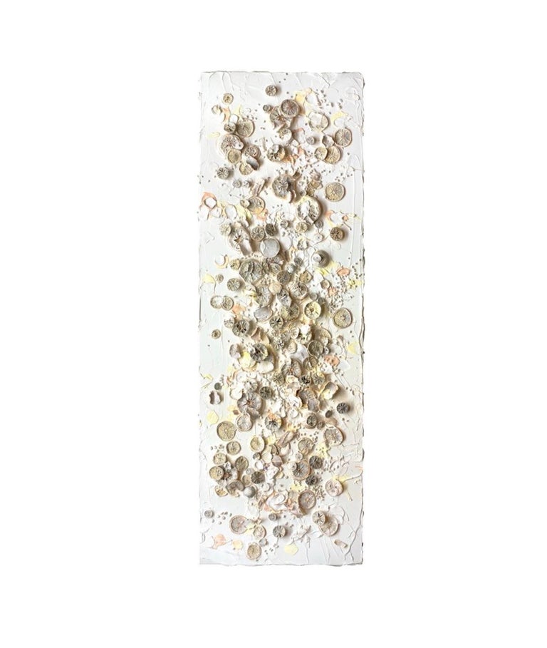 Susan Swartz - Evolution of Nature 17 For Sale at 1stDibs