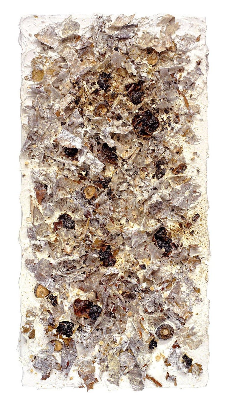 Susan Swartz - Evolution of Nature 22 For Sale at 1stDibs