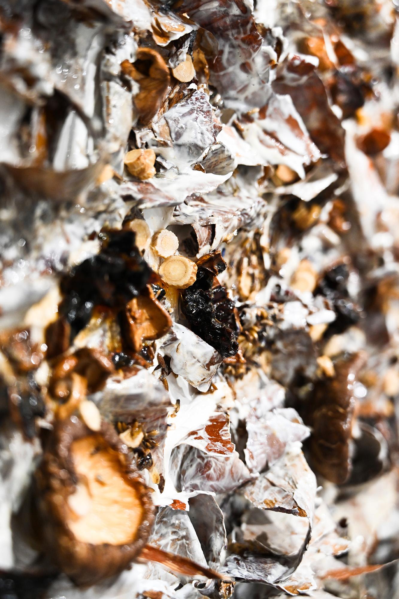 Susan Swartz - Evolution of Nature 23 For Sale at 1stDibs