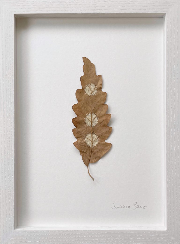 Susanna Bauer - Insights - Intricate contemporary crochet dried oak ...