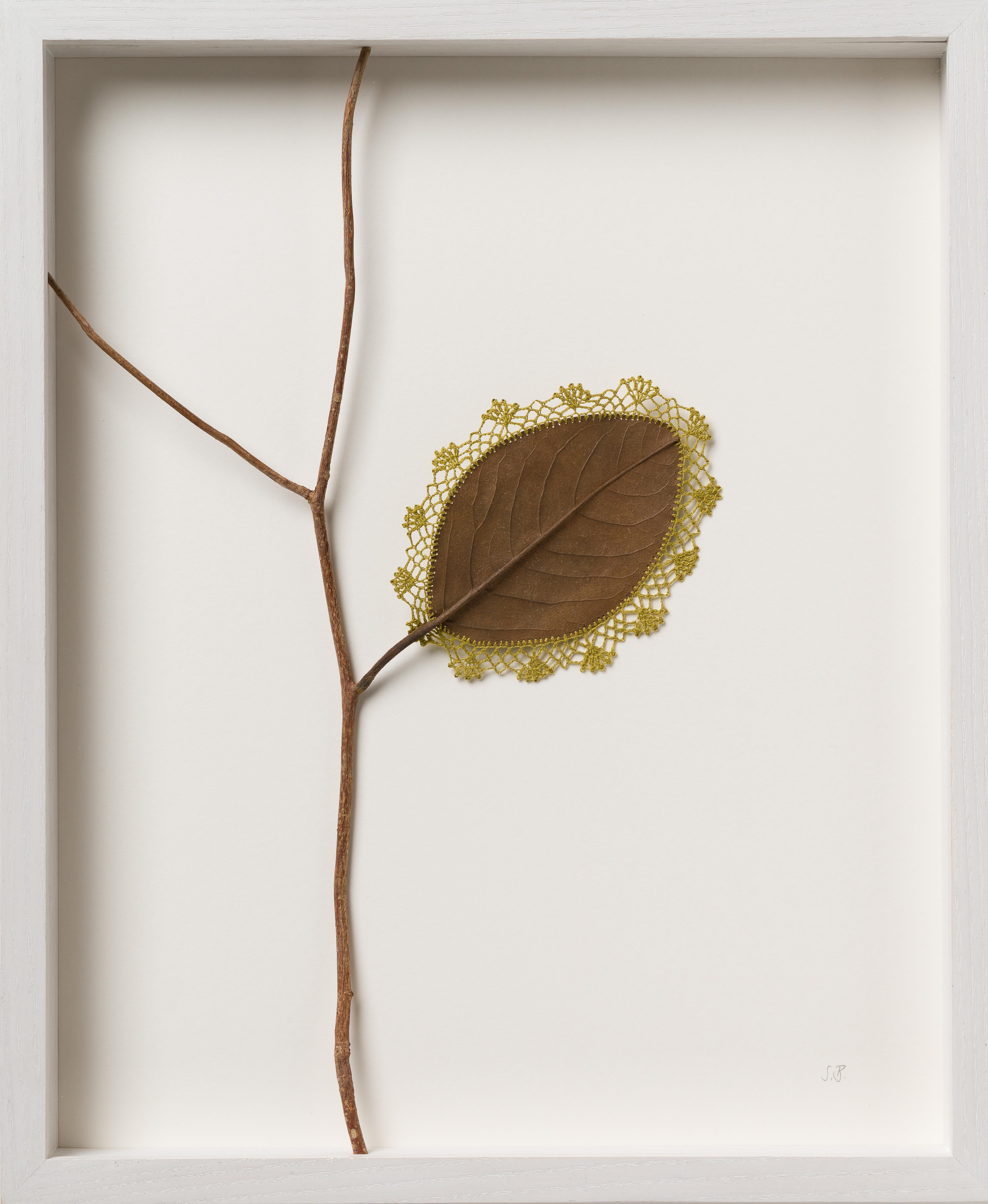 Susanna Bauer - Spring Song VII- contemporary crochet dried magnolia ...