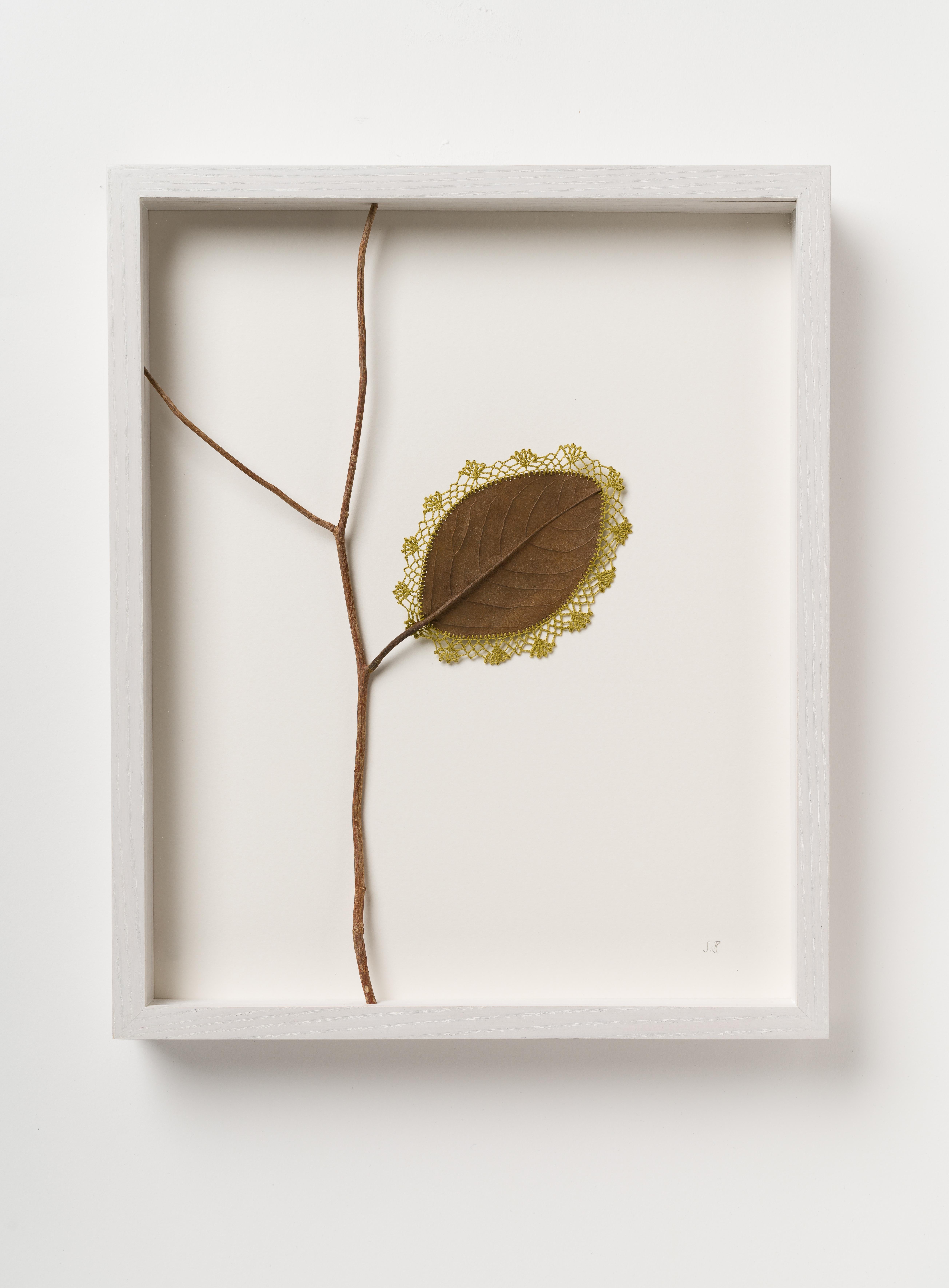 Susanna Bauer - Spring Song VII- contemporary crochet dried magnolia ...