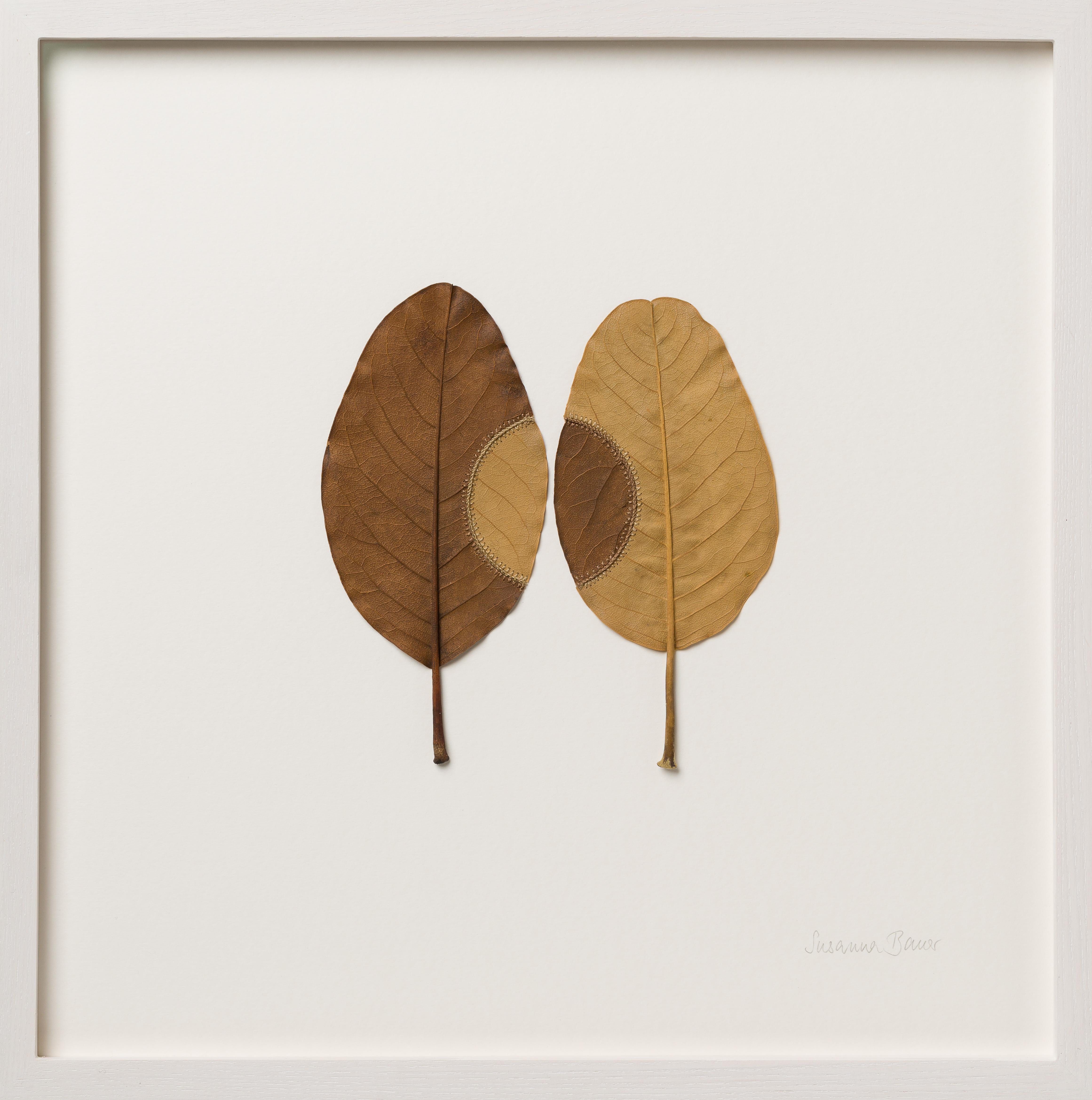 Susanna Bauer - Trans-plant 37- contemporary crochet dried magnolia ...