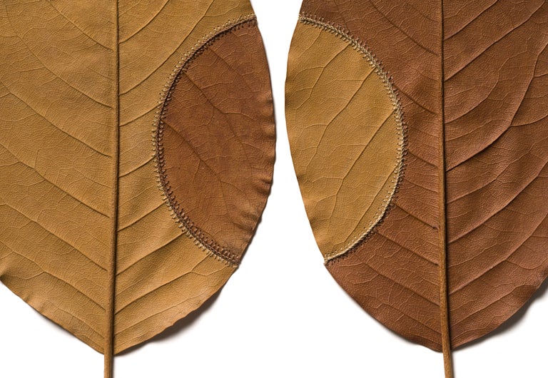 Susanna Bauer - Transplant 36 - contemporary crochet dried magnolia ...