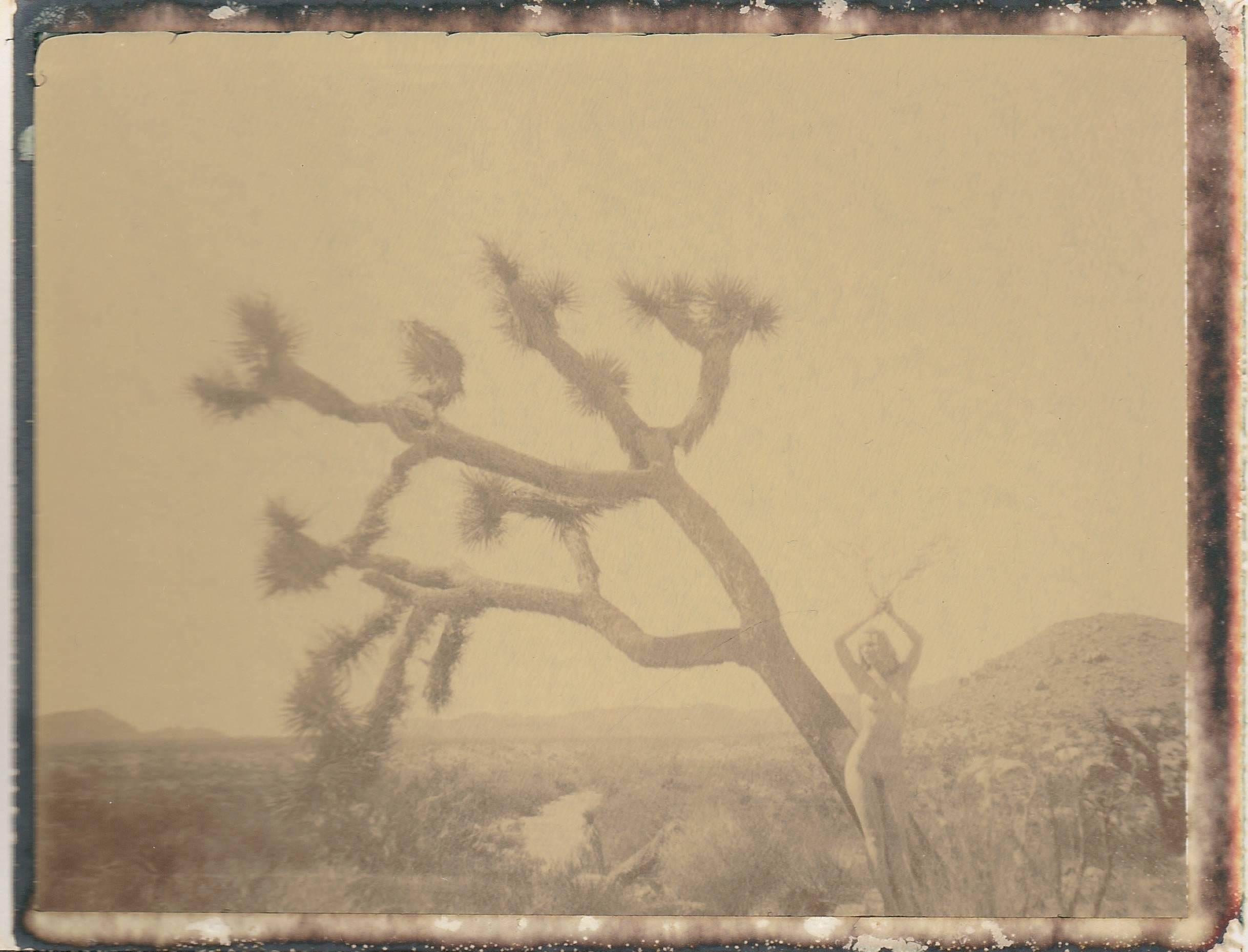 Sven van Driessche - Joshua's Muse II from the series Joshua Tales ...