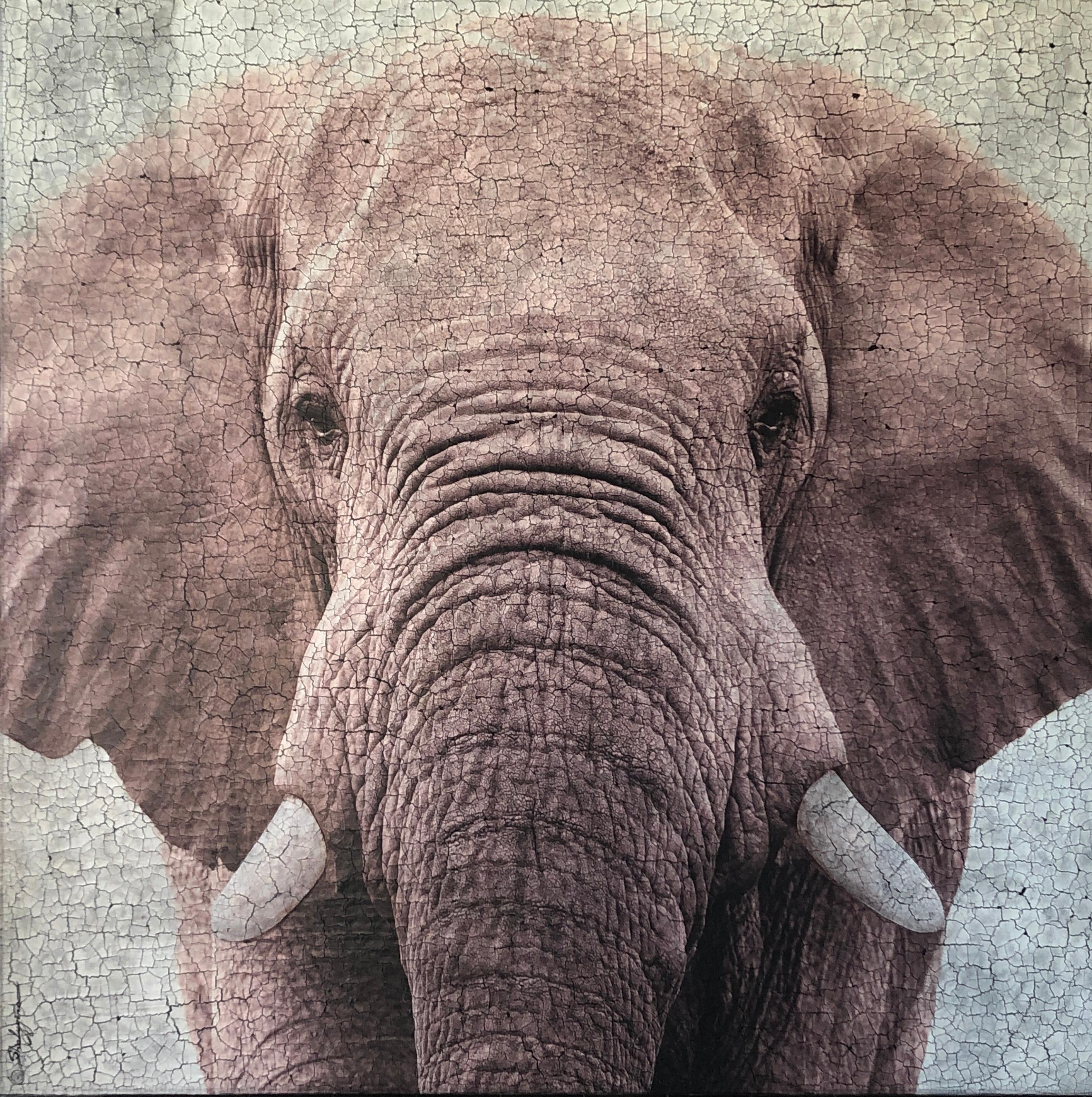 Arthur Wardle - Ware Rabbits; On the Way to a Dog Show at 1stDibs