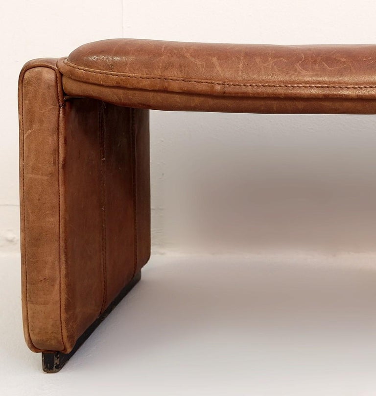 Swiss Buffalo Leather DS-50 Lounge Chair and Ottoman from De Sede ...