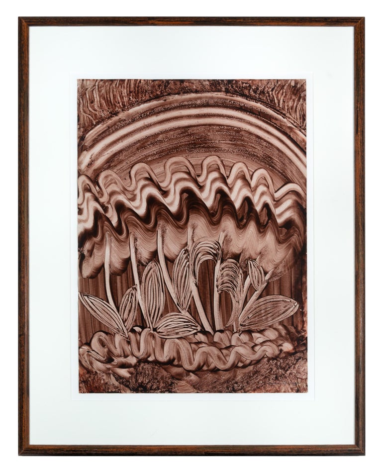 Sylvia Spicuzza - 'Under The Sea - Sea Shell and Plants' Finger ...