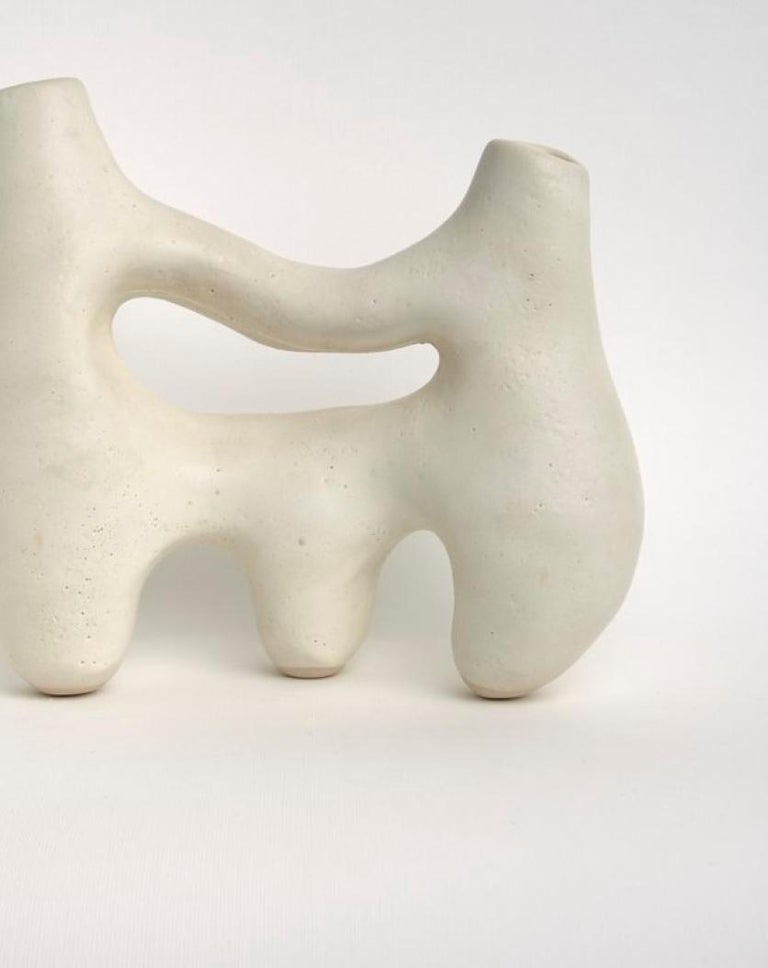 Symbiosis Vase by Camila Apaez For Sale at 1stDibs