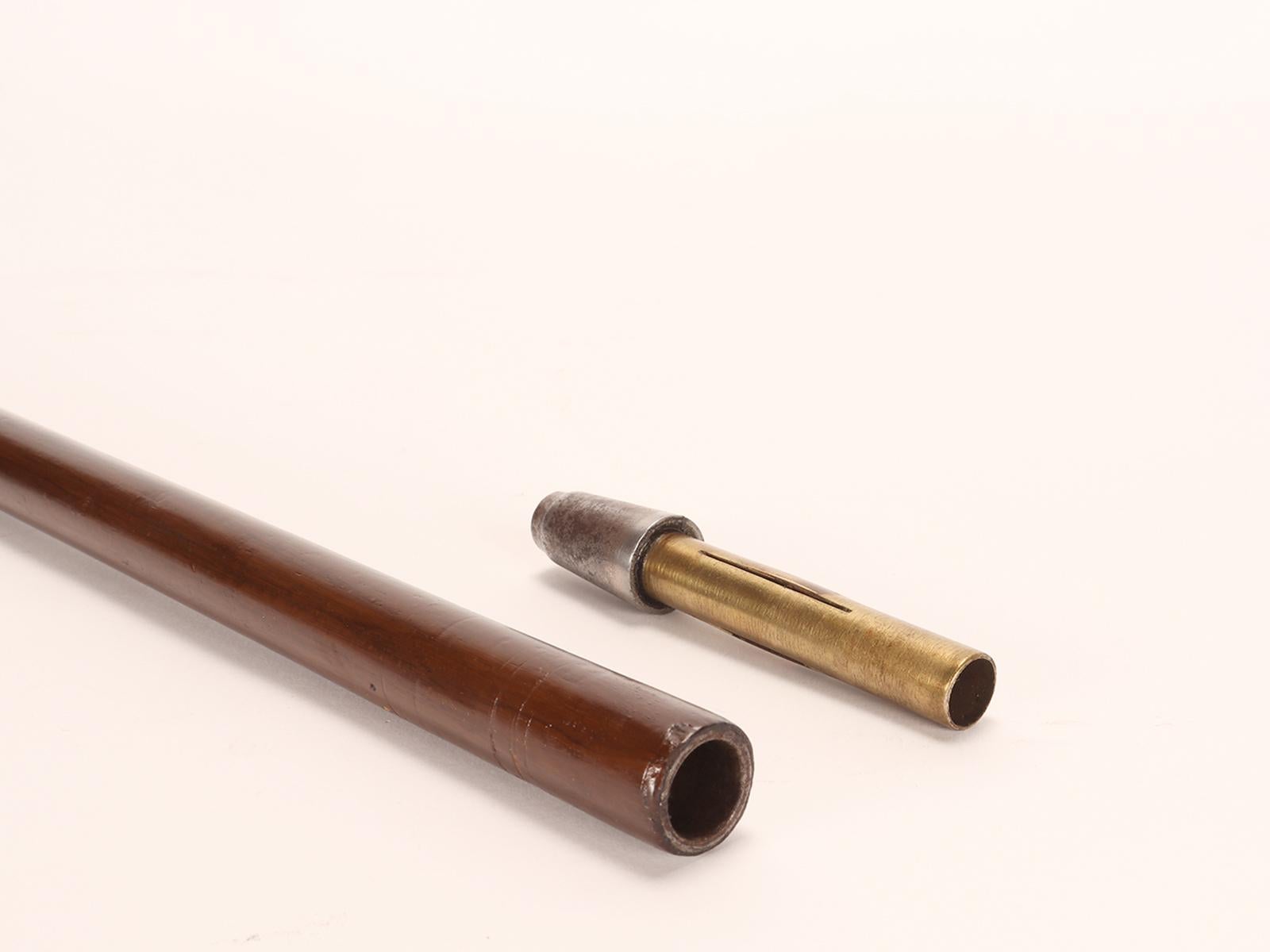 System walking stick: rare breech-loading poacher walking cane, France ...