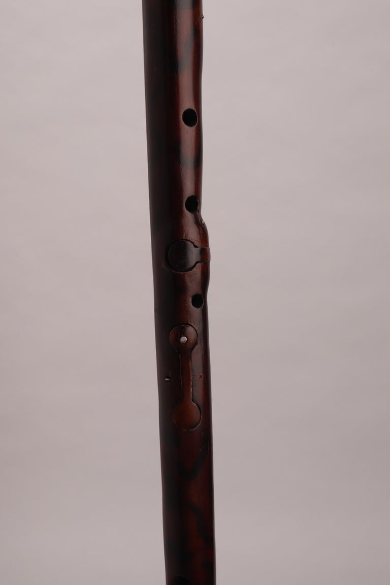 System Walking Stick, the Flute, Austria, 1870 For Sale at 1stDibs ...