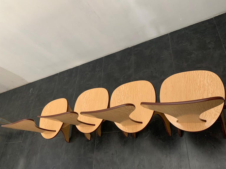 Table and Chairs in Multilayer Beech and Oak, by Pedini Fano, 1960s ...