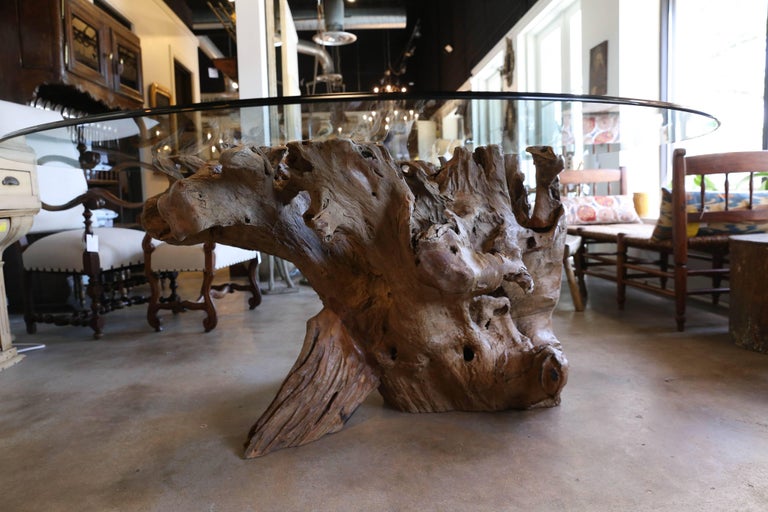 20th Century Beveled Glass Top Table from Tree Root at 1stDibs