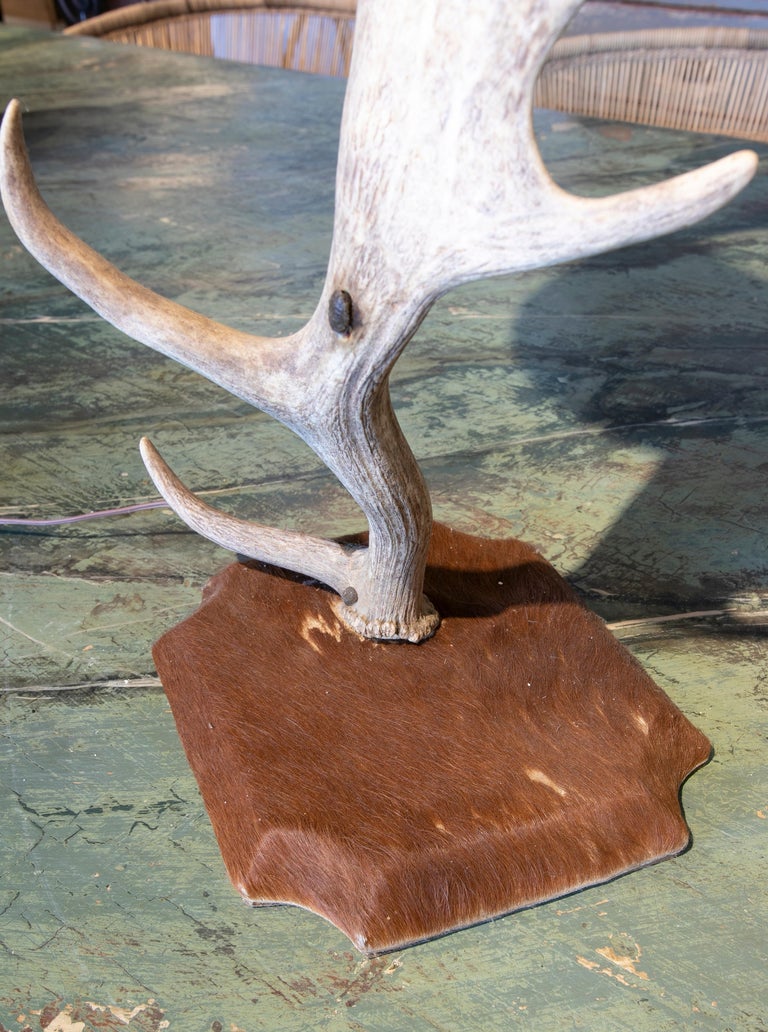 Table Lamp Made With An Antler And Deer Leather Used For The Base And
