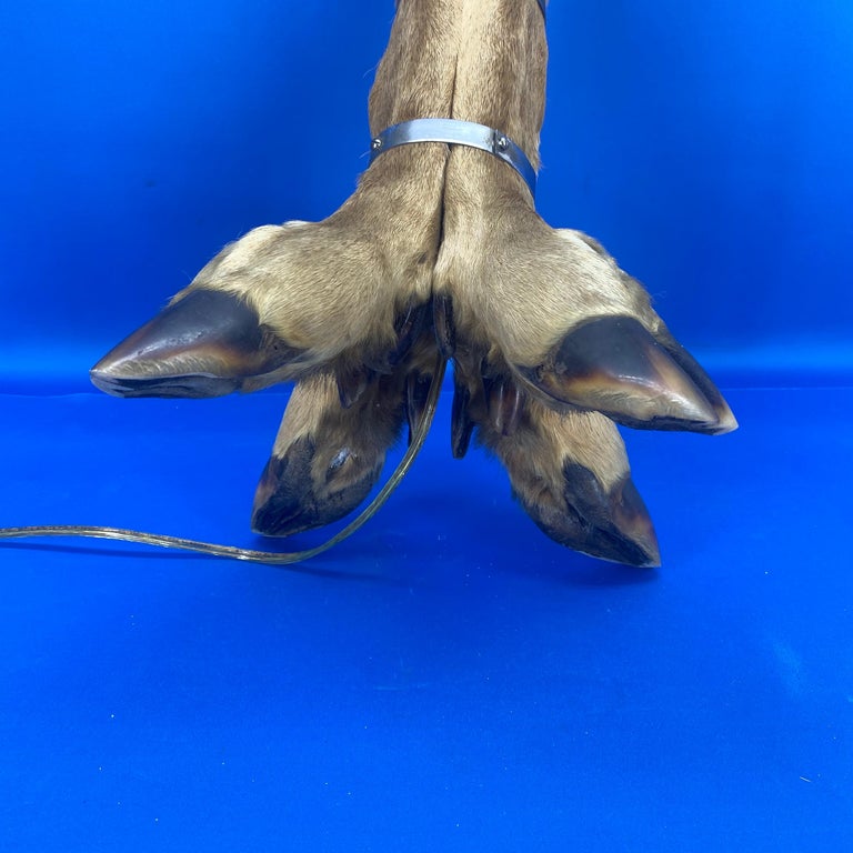Table Lamp With 4 Tier Deer Hoof With Nickel Bands And Antler Finial ...