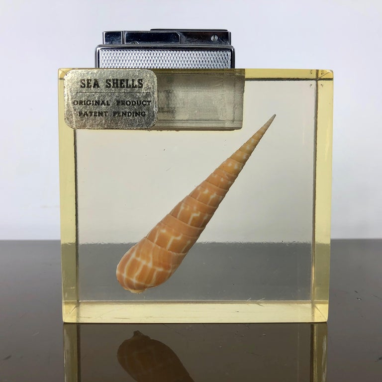 Table Lighter in Lucite Resin with a Sea Shell Inside, 1970s at 1stDibs