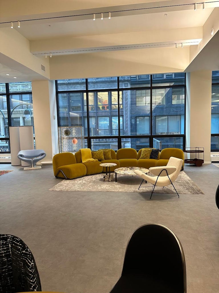 Tacchini Reversível Lounge Chair Designed by Martin Eisler in Stock For ...