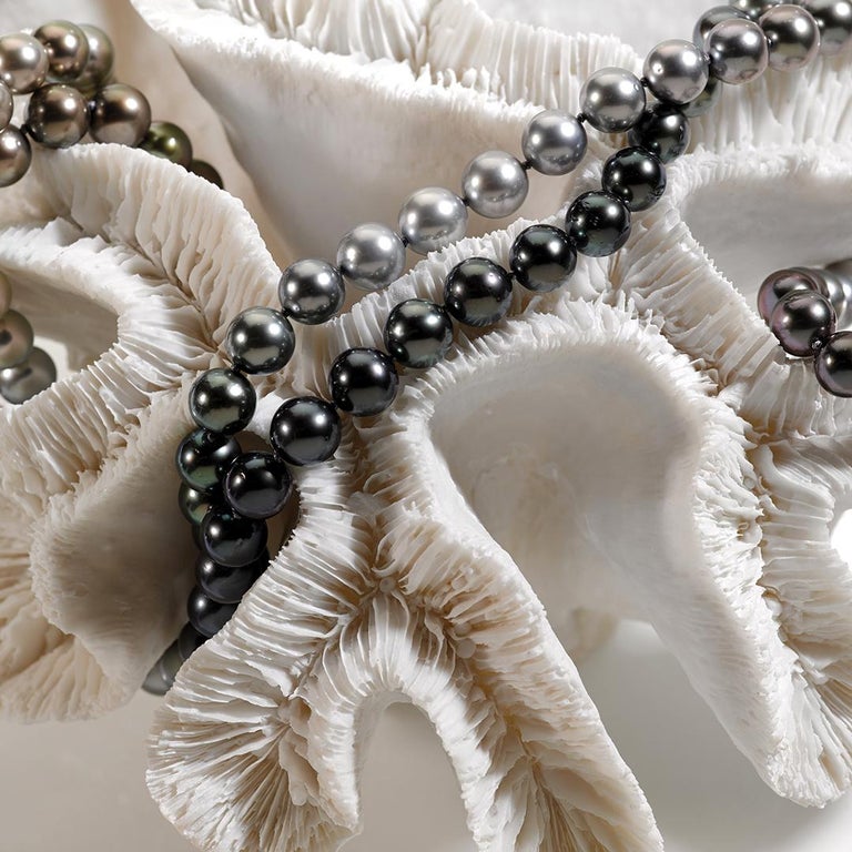 Tahitian Pearl Colour Fade Necklace For Sale at 1stDibs