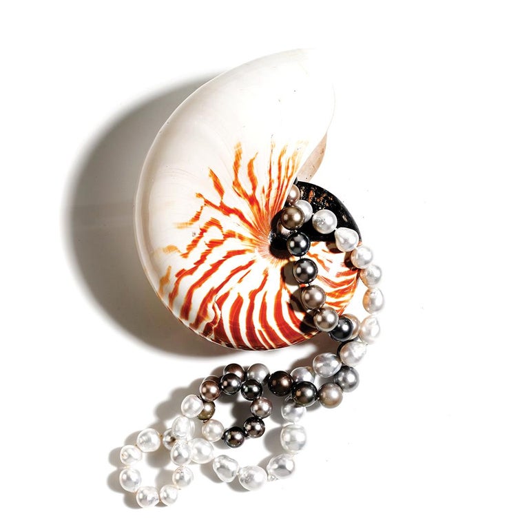 Tahitian Pearl Colour Fade Necklace For Sale at 1stDibs