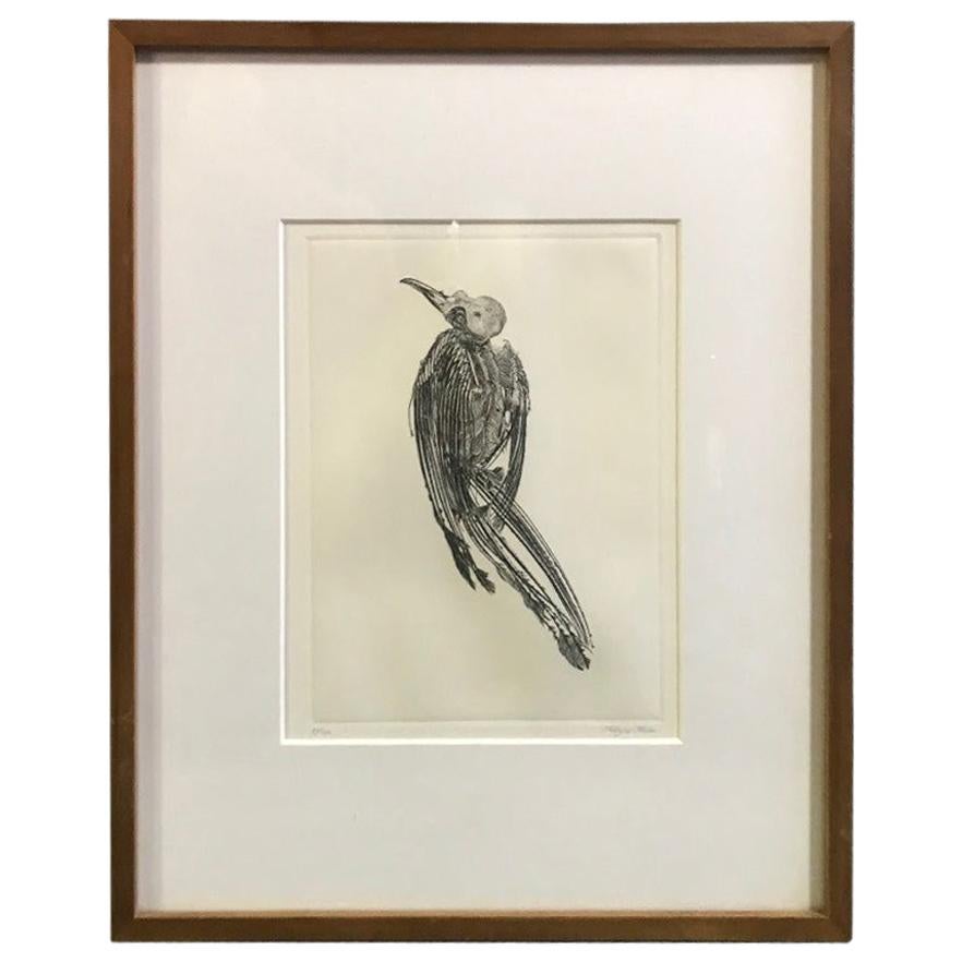 Etching of a Bat by Francisco Toledo Signed and Numbered at 1stdibs