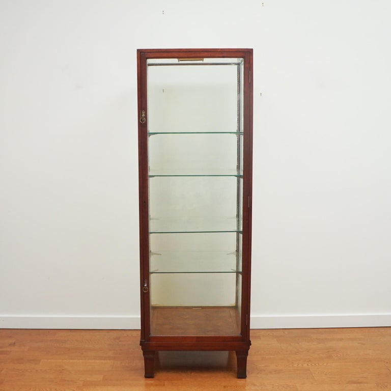 Tall Antique Mahogany Display Case For Sale at 1stDibs