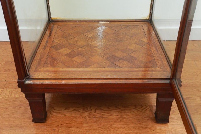 Tall Antique Mahogany Display Case For Sale at 1stDibs