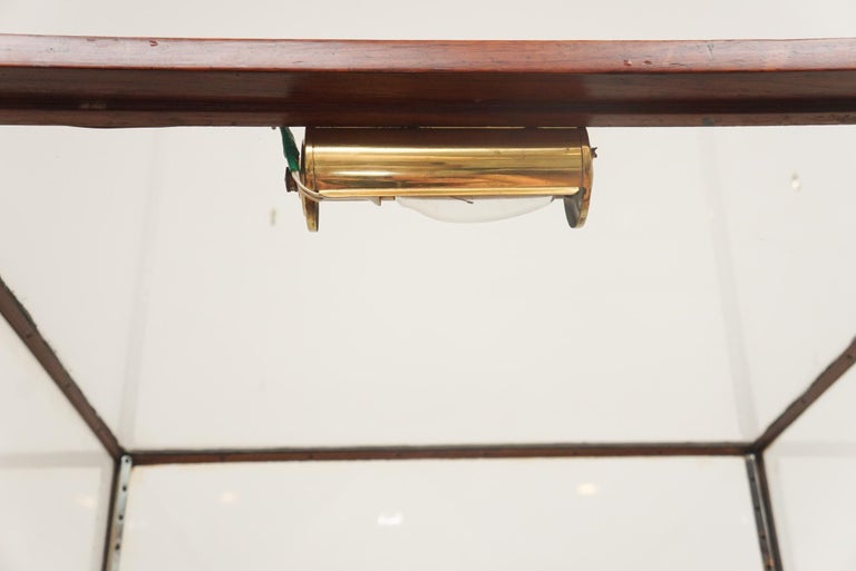 Tall Antique Mahogany Display Case For Sale at 1stDibs