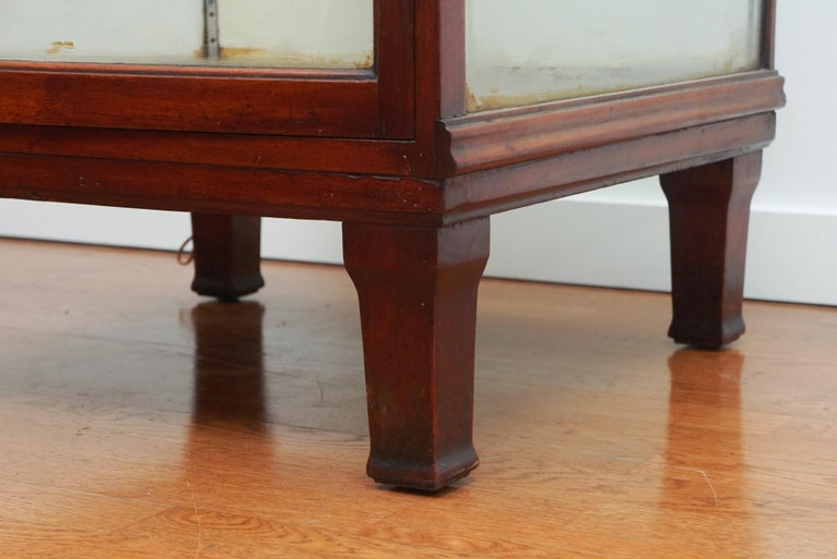 Tall Antique Mahogany Display Case For Sale at 1stDibs
