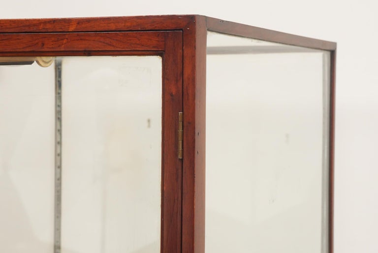 Tall Antique Mahogany Display Case For Sale at 1stDibs