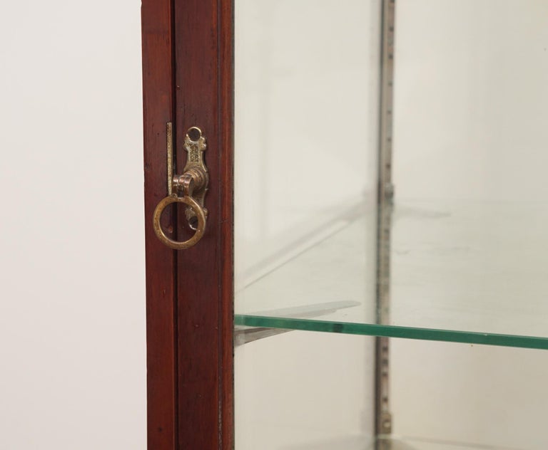Tall Antique Mahogany Display Case For Sale at 1stDibs
