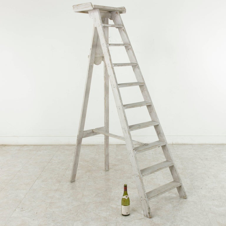 Tall French Painted Library Ladder from the Bibliothèque Nationale de ...