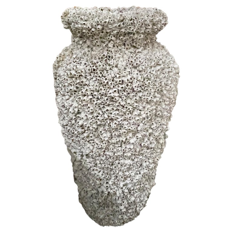 Tall Narrow Snail Covered Composition Stone Pot, Italy, 1950s For Sale ...