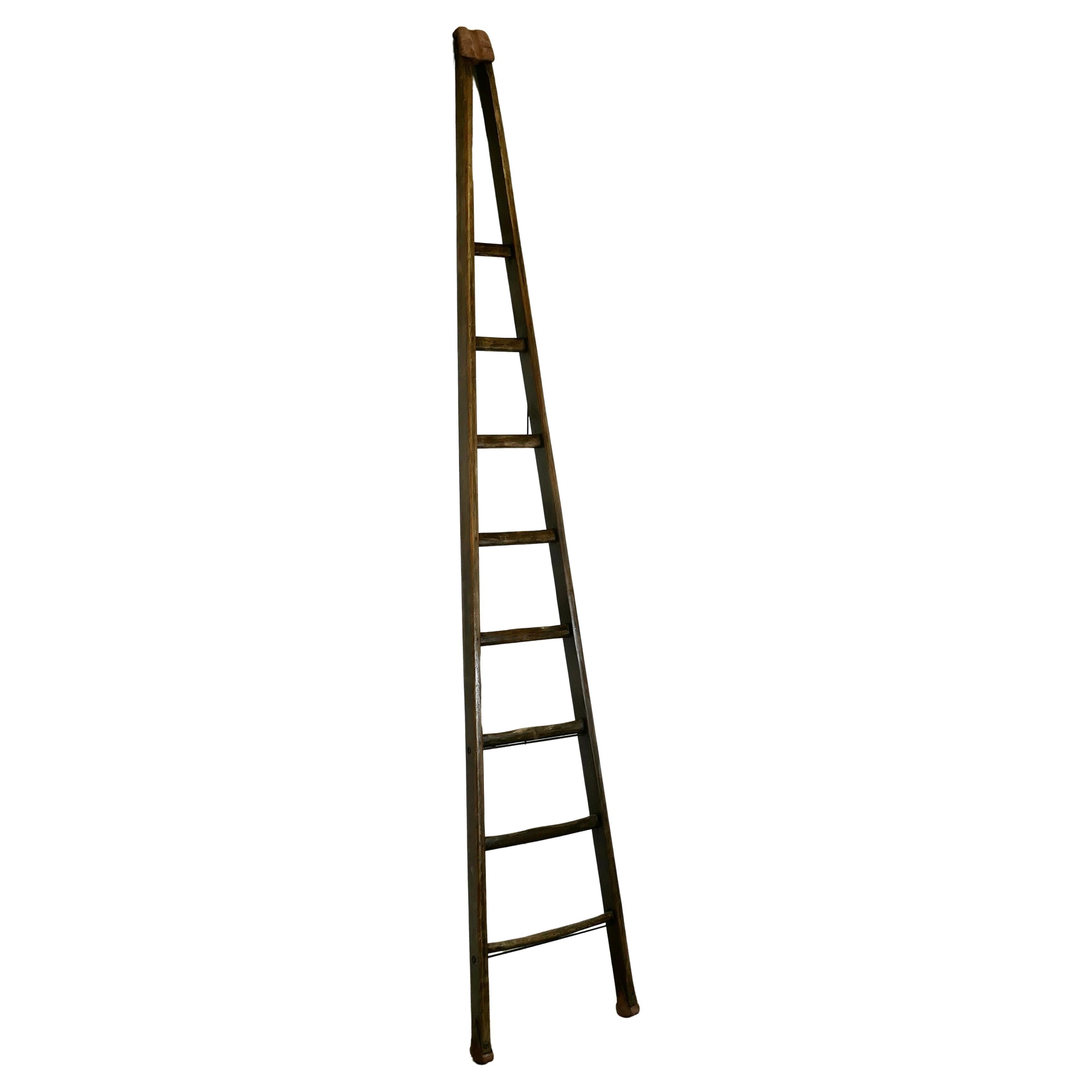 Tall Vintage Pitch Pine Fruit Picking or Library Ladder For Sale at 1stDibs