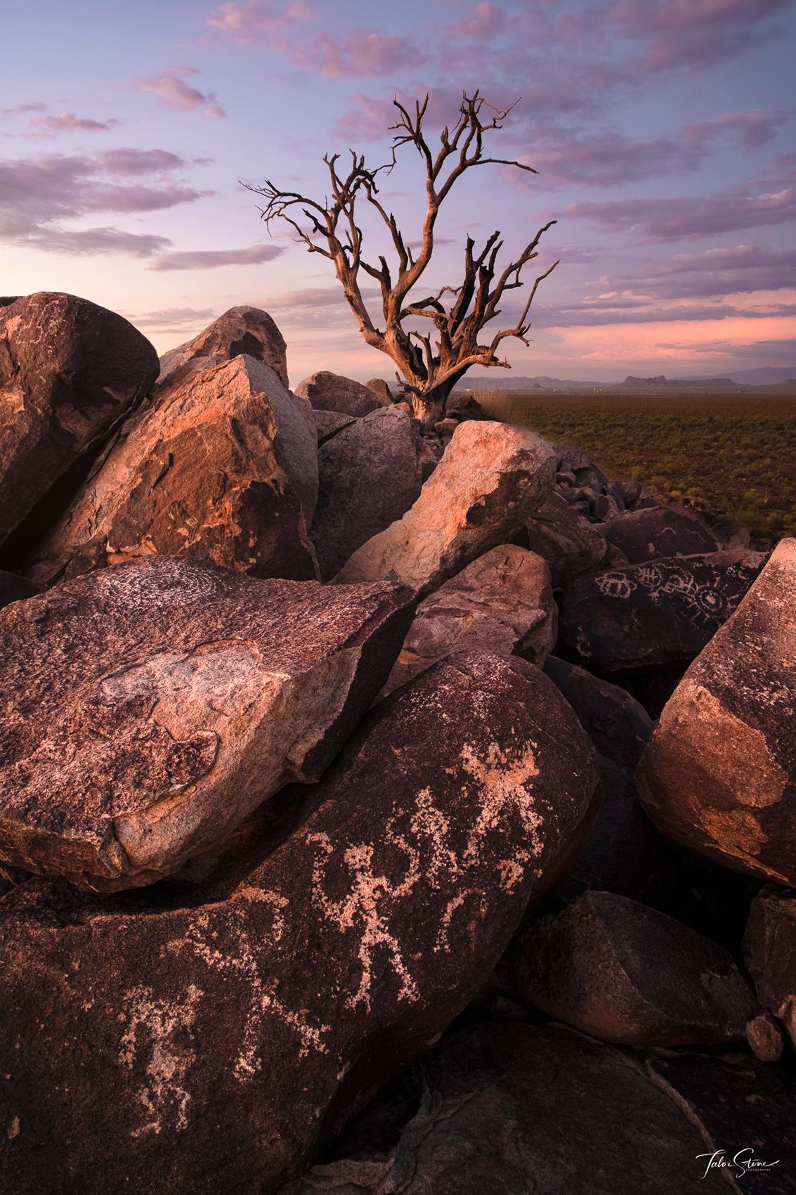 Vertical Photography - 33,354 For Sale at 1stDibs