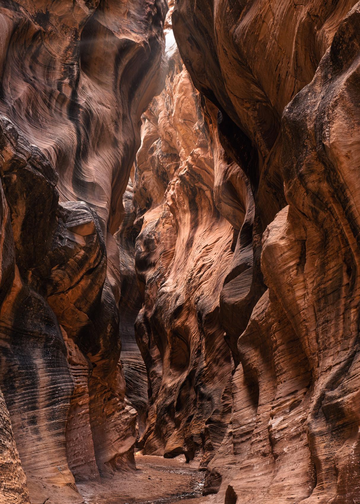 Talor Stone - Let There Be Light 3/50 - Colour Landscape Photography by ...