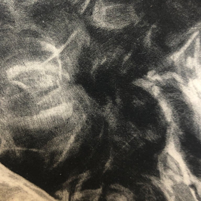 Tammy Mackay - Rowland’s Dodo (Version II) BY TAMMY MACKAY, Animal Art, Contemporary Prints For ...