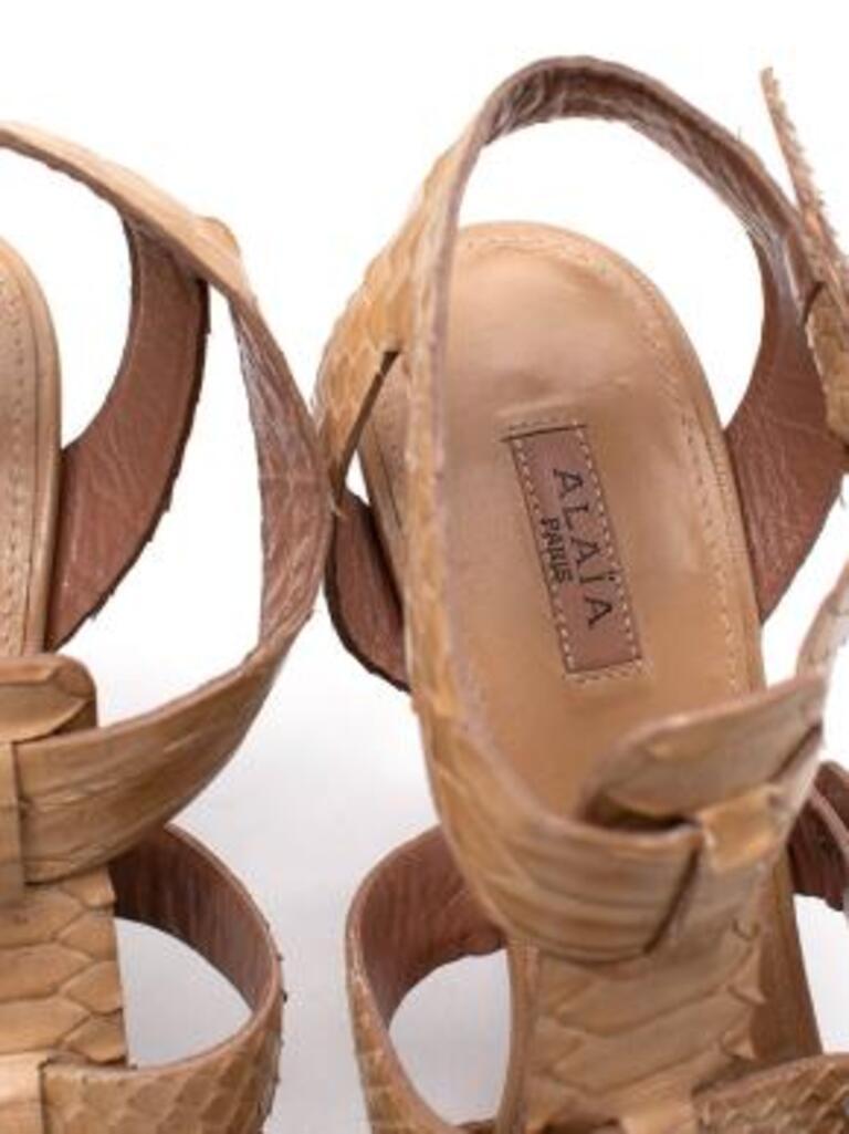 Tan snakeskin block heeled sandals For Sale at 1stDibs