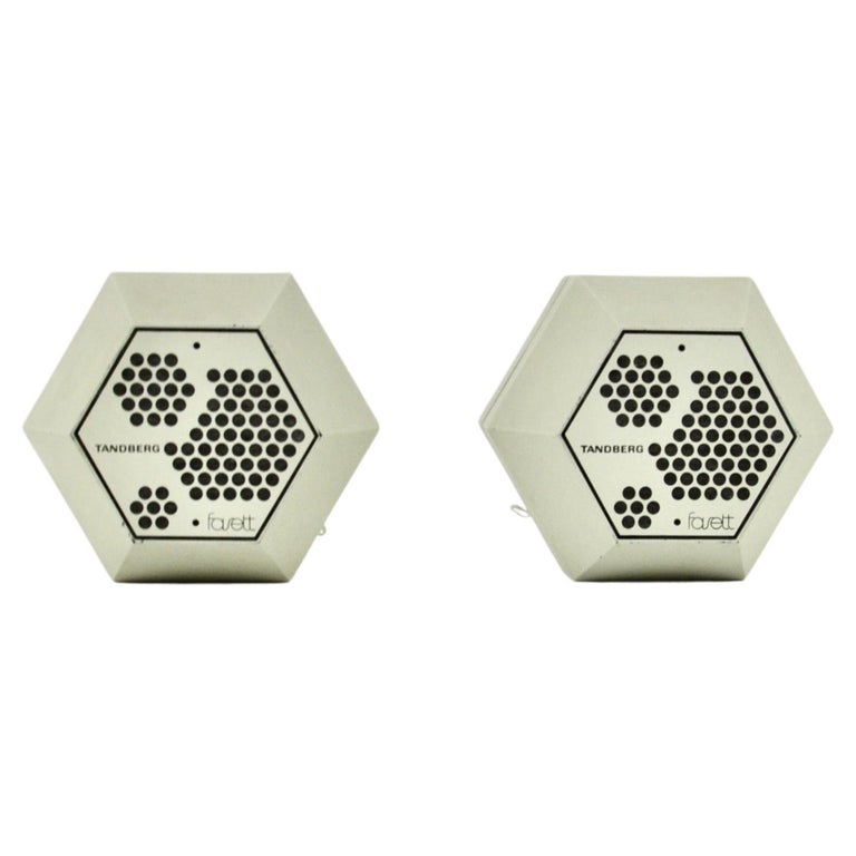 Tandberg Fasett Baffle by Terje Ekstrom for Tandbergs Radiofabrik ...