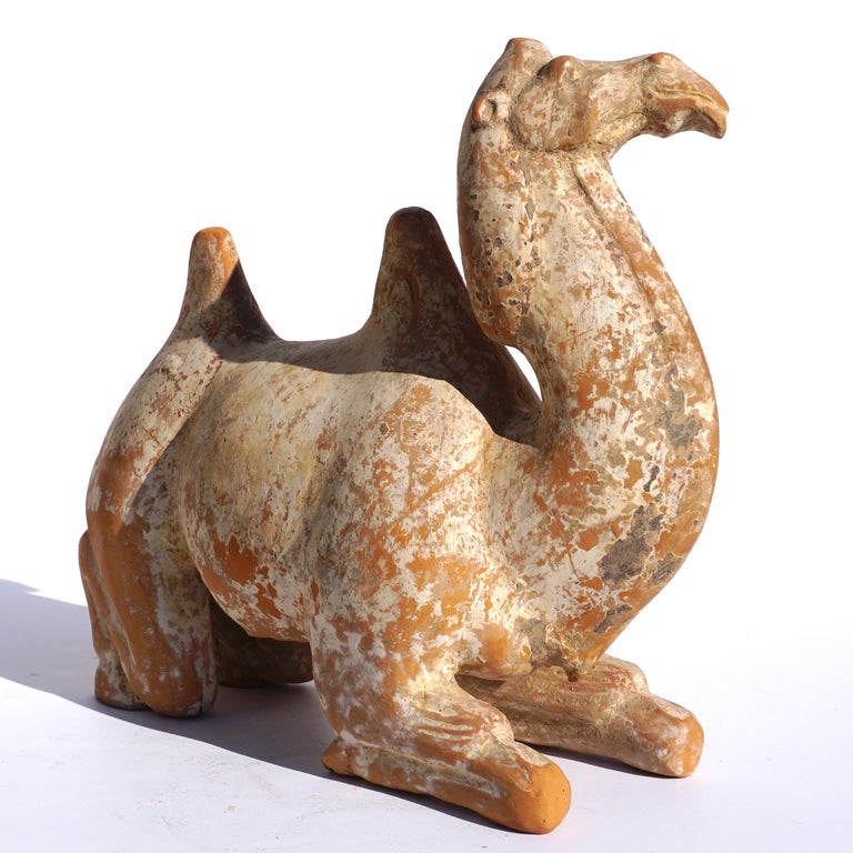 Tang Dynasty Bactrian Camel Sculpture For Sale at 1stDibs